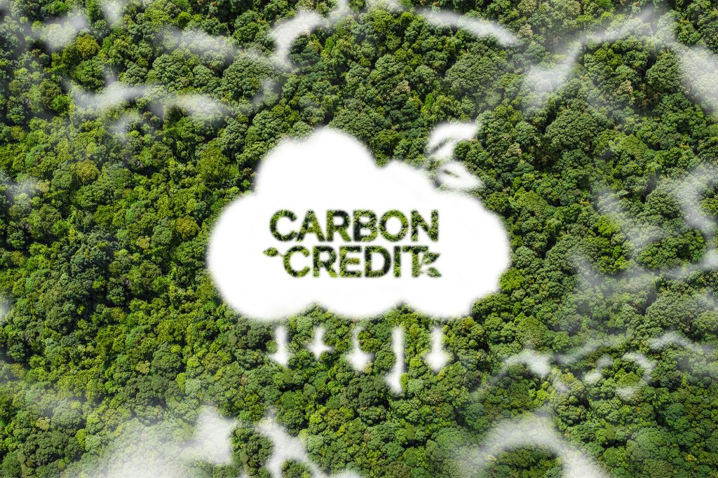 Explained: Carbon credits - Carbon Clear